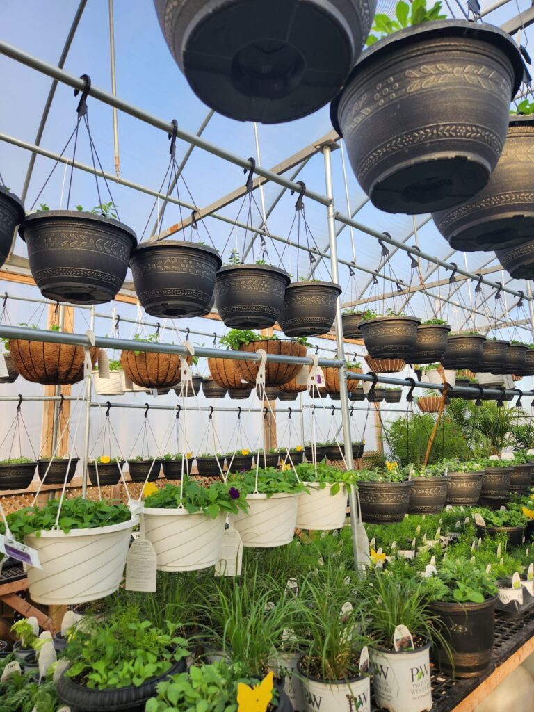 Products | Margo's Garden Center